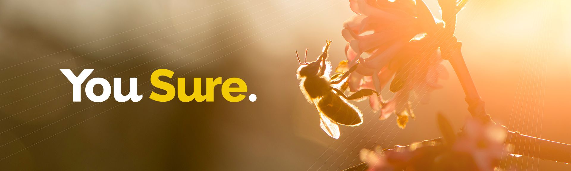 You Sure via Yellow Hive naar top-5 intermediair :: Type bericht